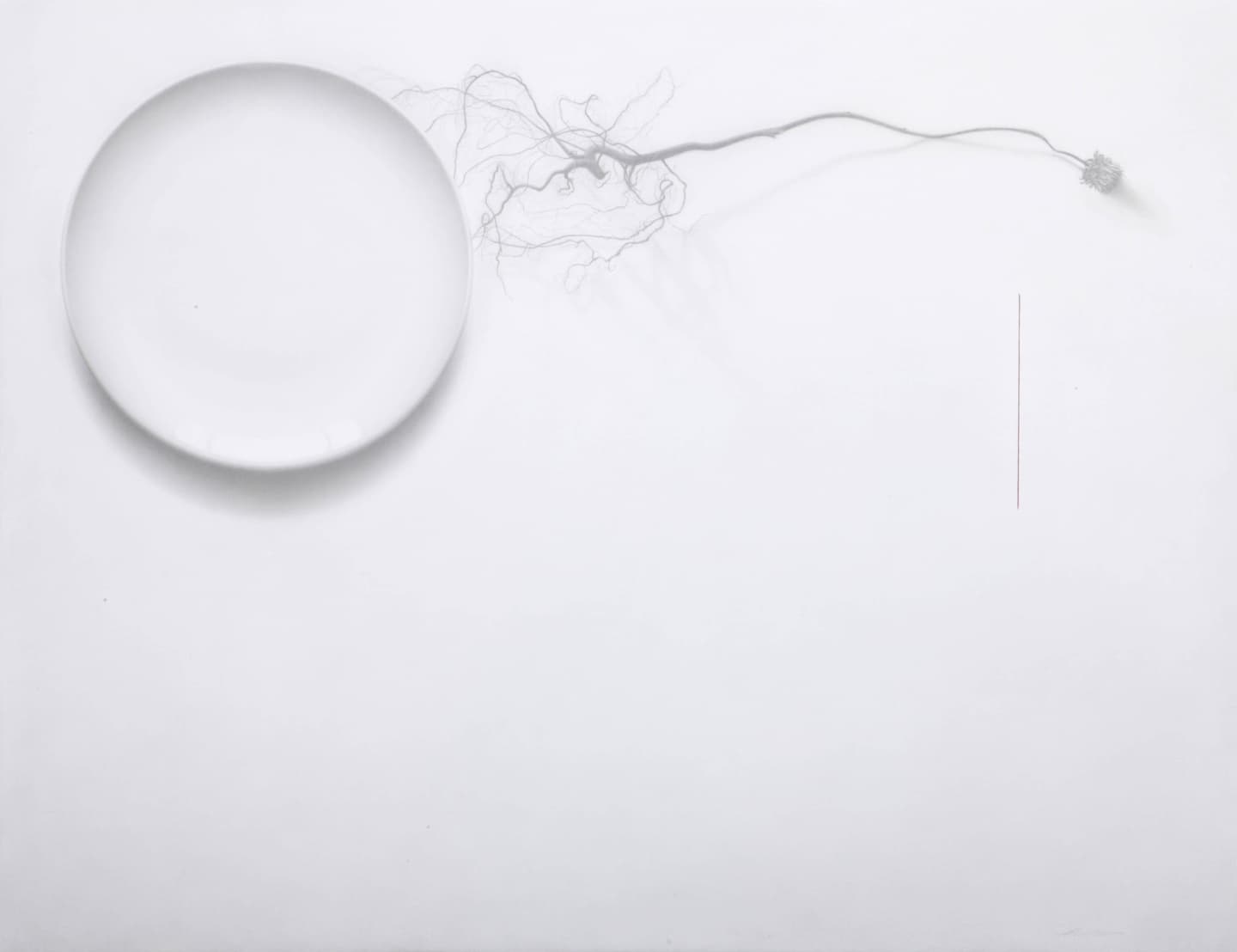 629 S ART GALLERY|ART@GINZA